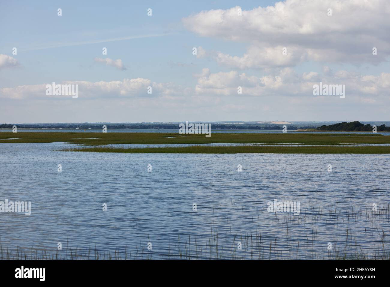Wide marshlands hi-res stock photography and images - Alamy