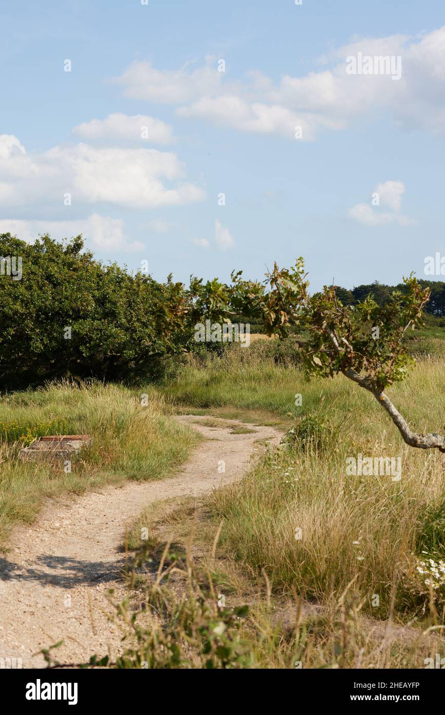 Footpath seen in a natural environment in the UK Stock Photo - Alamy