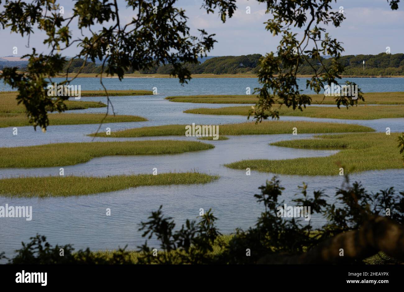 Wide marshlands hi-res stock photography and images - Alamy