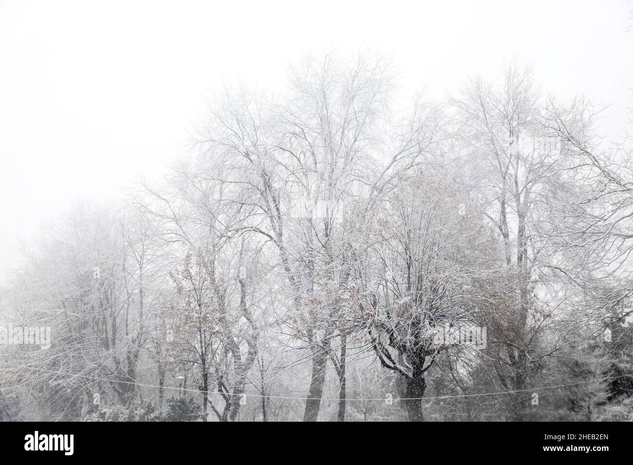 Park During Heavy Snowfall In Winter In Bucharest, Romania Stock Photo ...