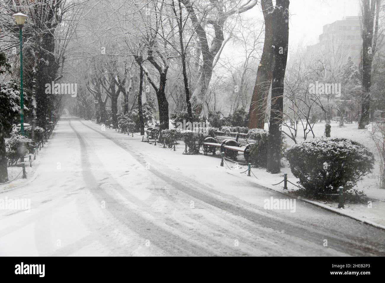 Park During Heavy Snowfall In Winter In Bucharest, Romania Stock Photo ...