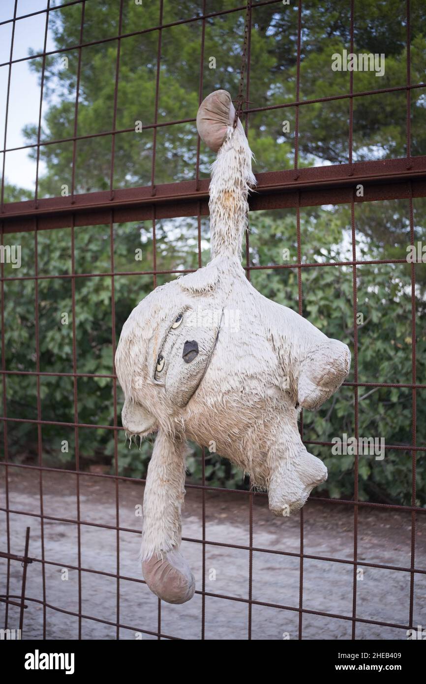 Hanged animal hi-res stock photography and images - Alamy