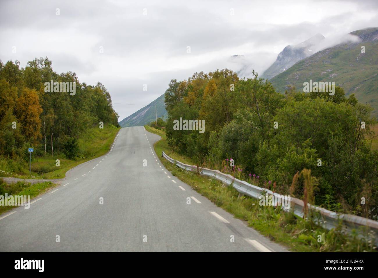 Beautiful landscape in Norway with fjords, trees and typical red ...