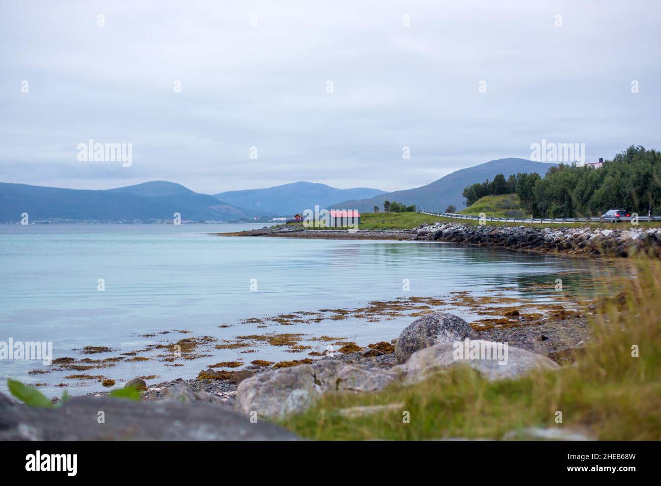 Beautiful landscape in Norway with fjords, trees Stock Photo - Alamy