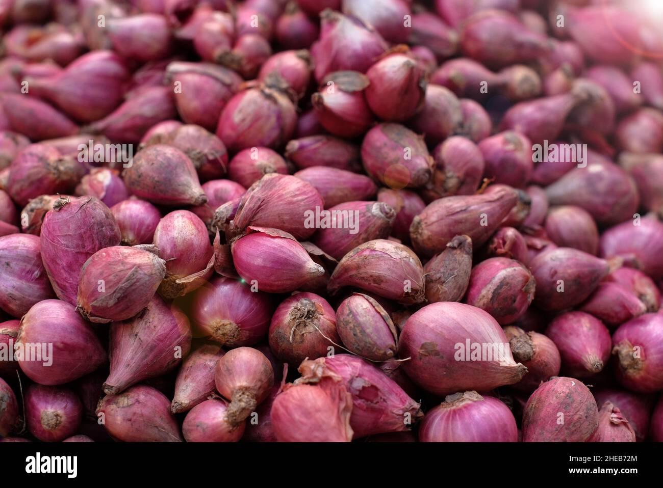 Red onions - Large quantities of red onions in the basket Stock Photo ...