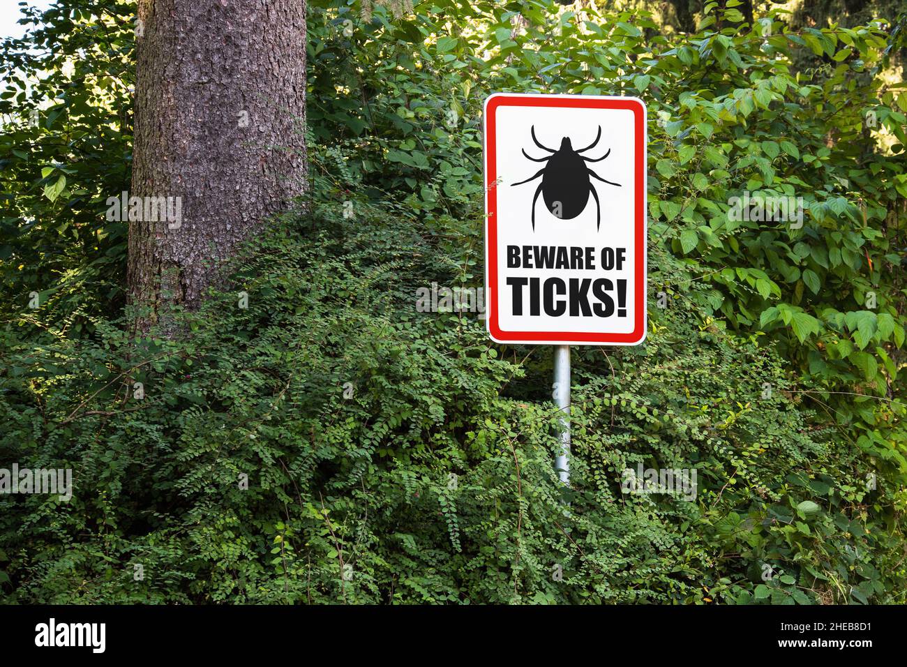 Tick insect warning sign in nature forest. Danger of Lyme disease ...