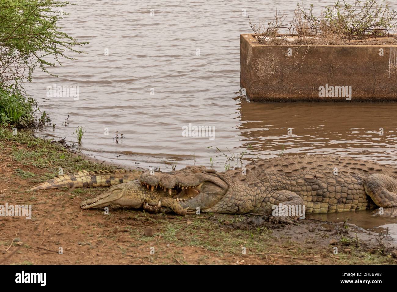 These images were taken by photographer Stephen Kangisser (68) from ...