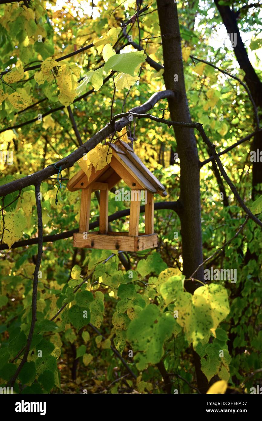 Bird feeders tree hi-res stock photography and images - Alamy