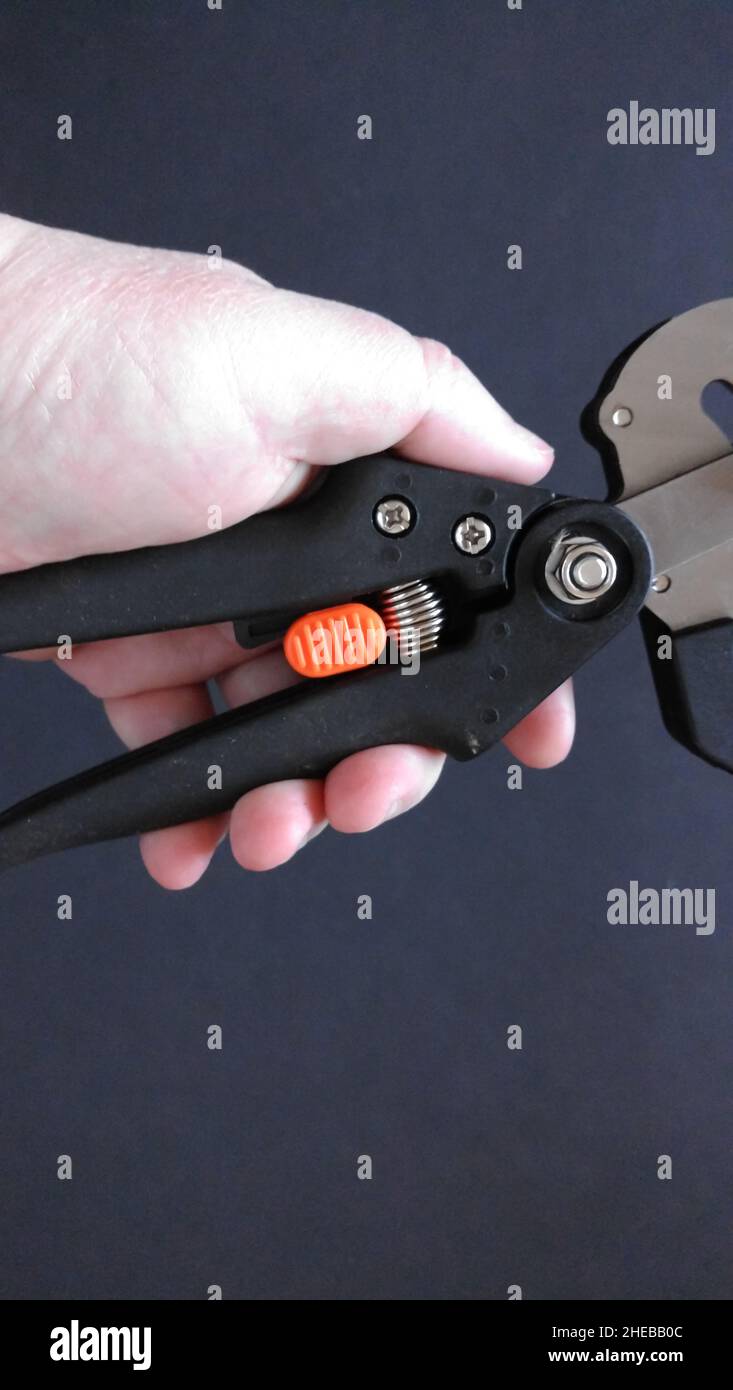 Professional grafting tool hi-res stock photography and images - Alamy