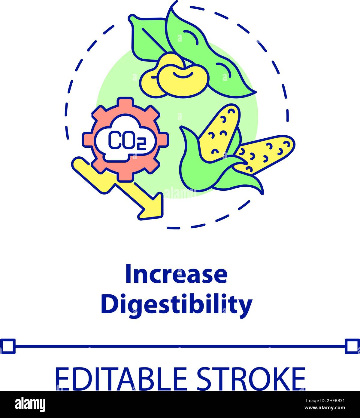 Increase digestibility concept icon Stock Vector Image & Art - Alamy