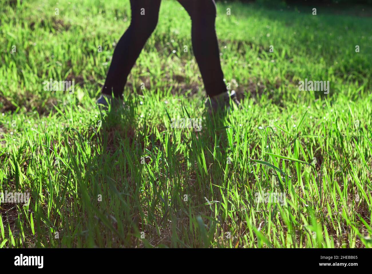 Legs silhouettes in the grass . Walking in nature Stock Photo - Alamy