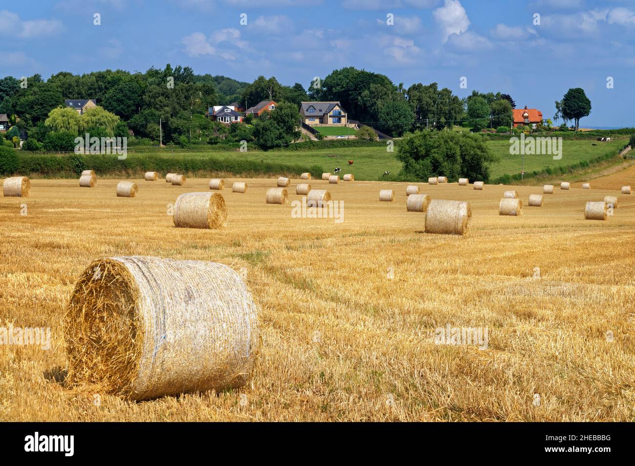 Staincross hi-res stock photography and images - Alamy