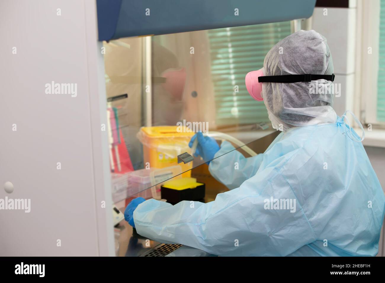 Doctor laboratory assistant in the infectious diseases laboratory ...