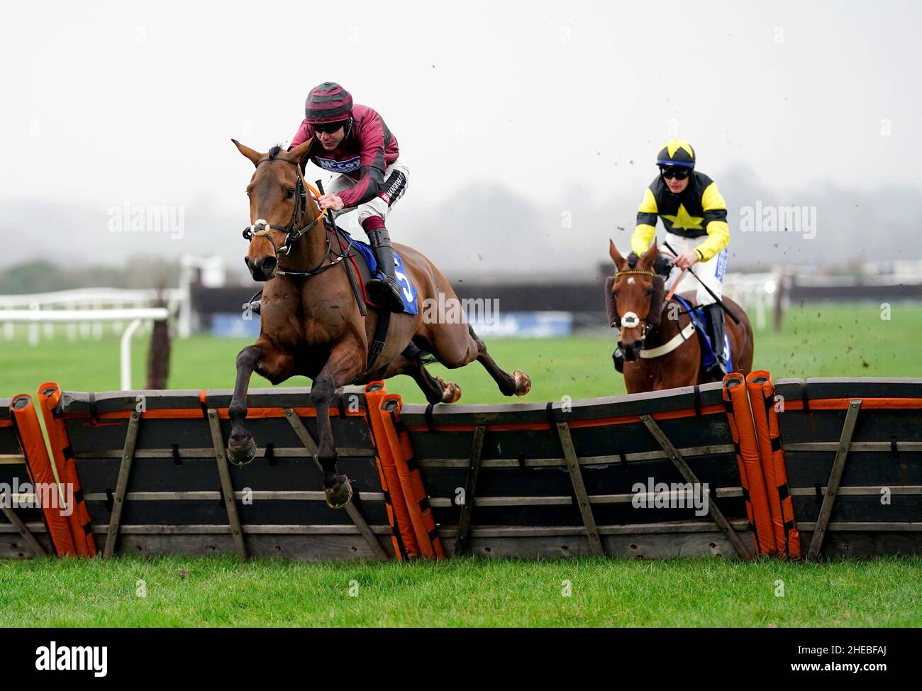 Dr t j eckleburg horse hi-res stock photography and images - Alamy