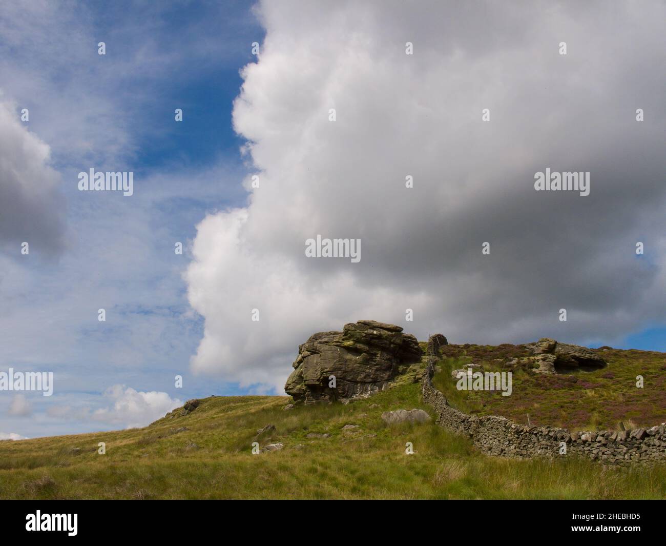 Near forest of bowland hi-res stock photography and images - Alamy