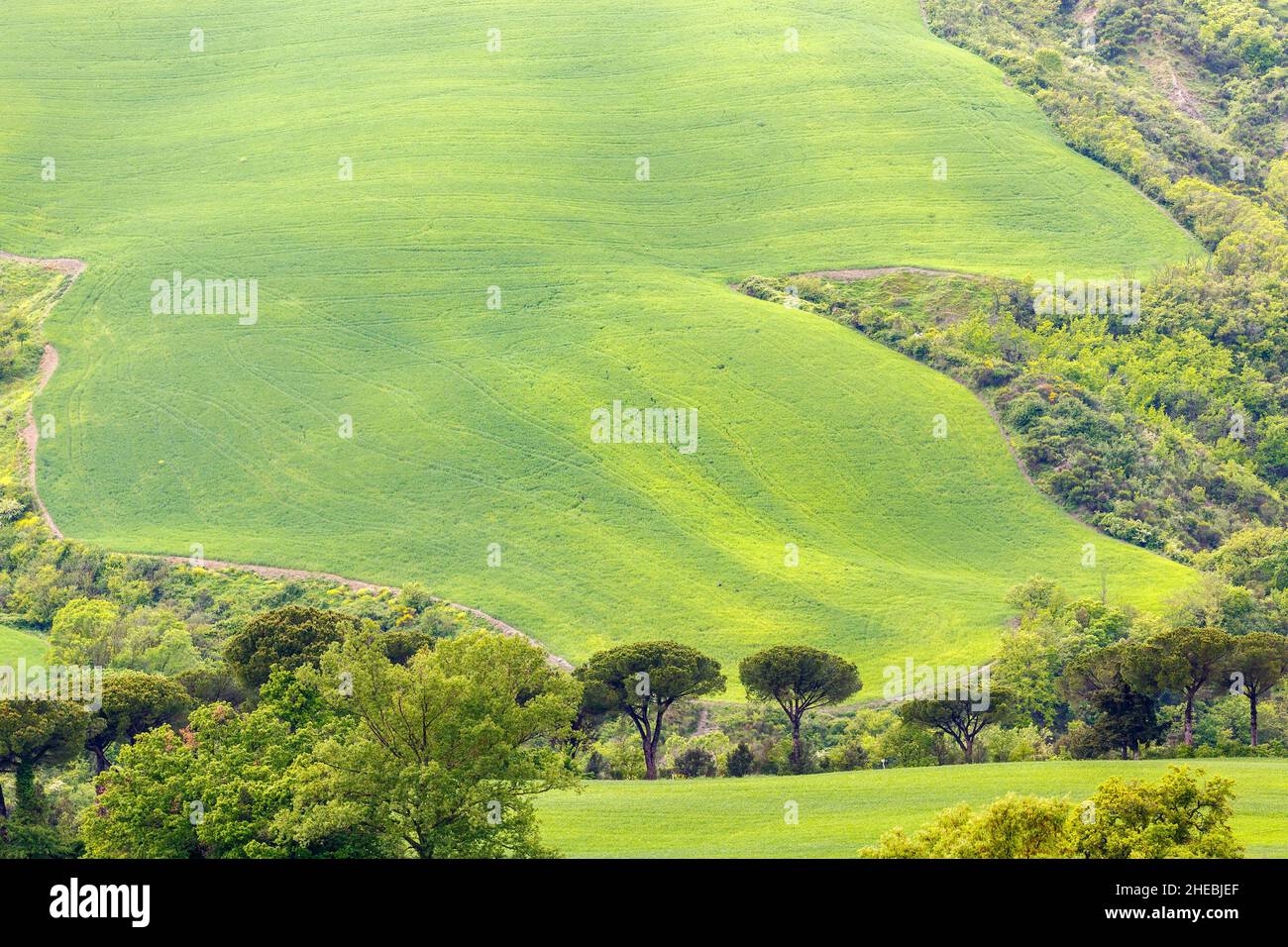 Sloping fields in a valley Stock Photo - Alamy