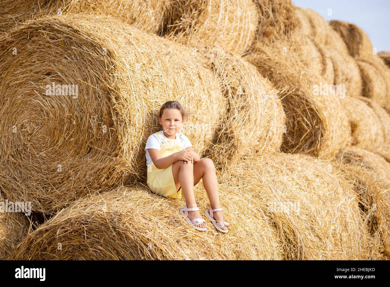Portrait of shining happy small girl with piece of hay in mouth in ...