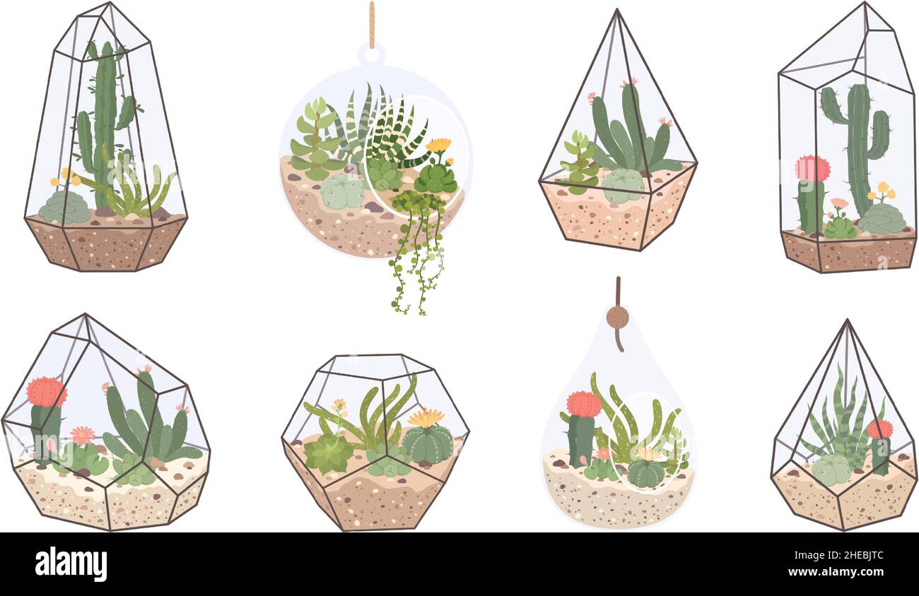Different succulents in glass vase Cut Out Stock Images & Pictures - Alamy