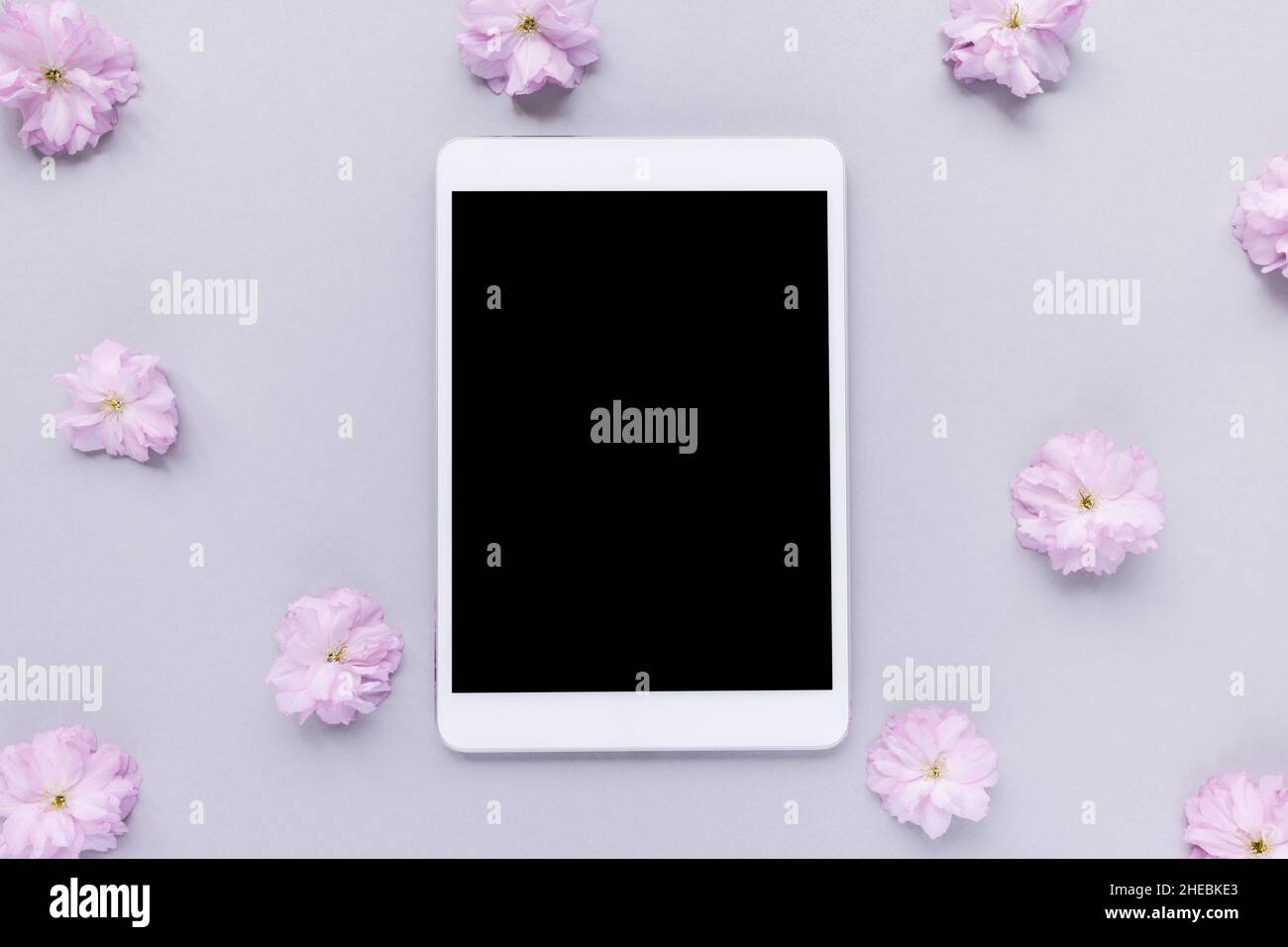 Digital tablet and spring sakura cherry blossom flowers, pastel pink ...