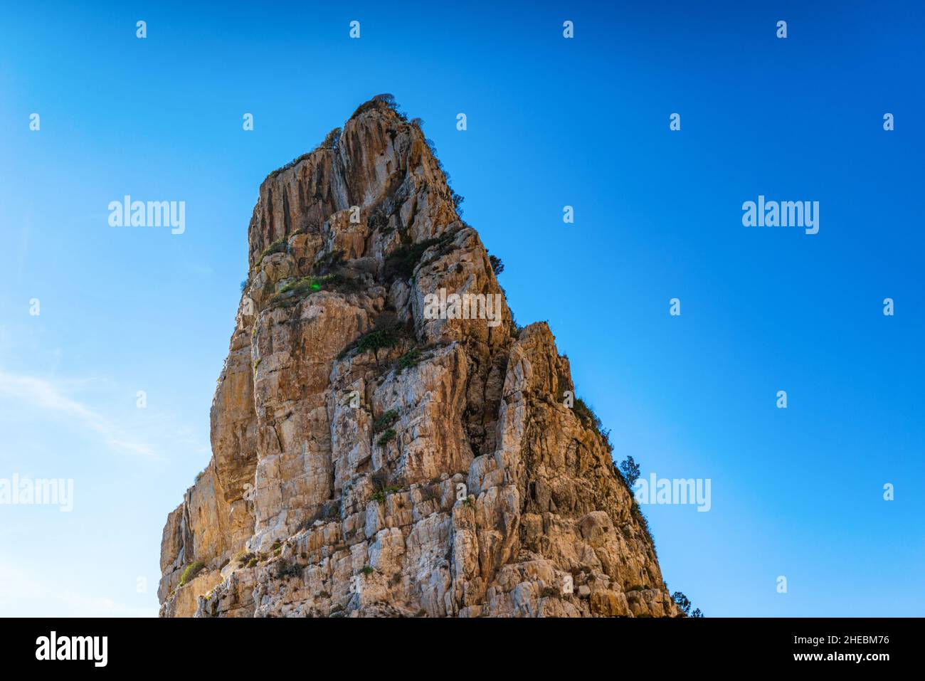 High light-colored steep rocky cliff covered with vibrant plants ...