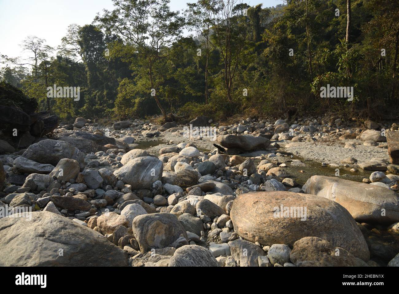 Neora valley national park hi-res stock photography and images - Alamy