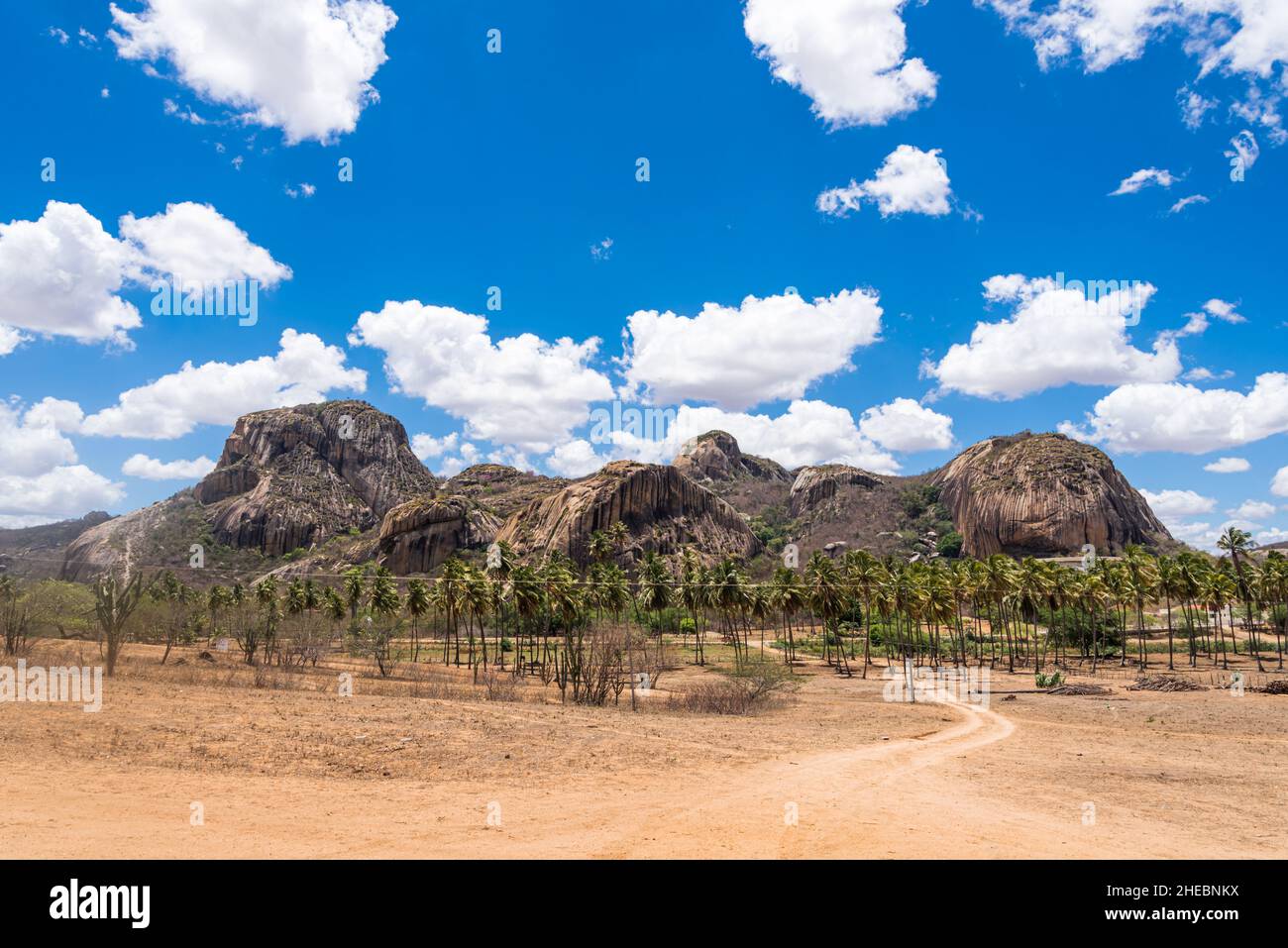 Northeastern trees hi-res stock photography and images - Alamy