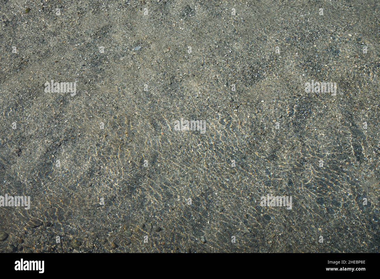 Riverbed through transparent water of Neora dam across river Neora in ...