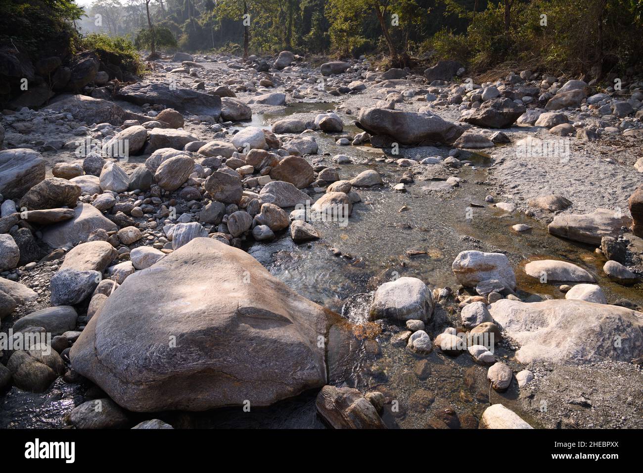 Neora valley national park hi-res stock photography and images - Alamy