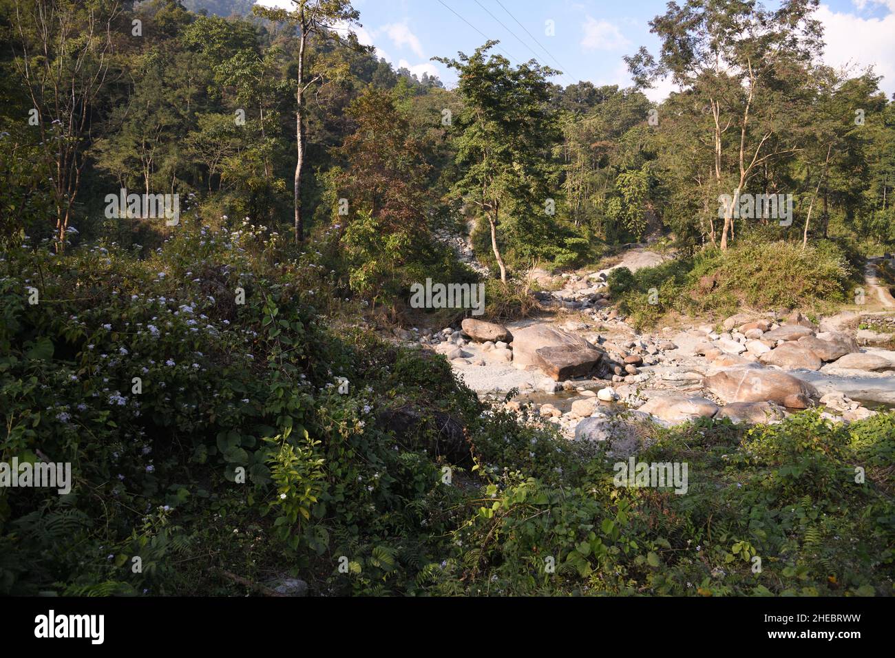 River Neora in Kalimpong district. West Bengal, India Stock Photo - Alamy