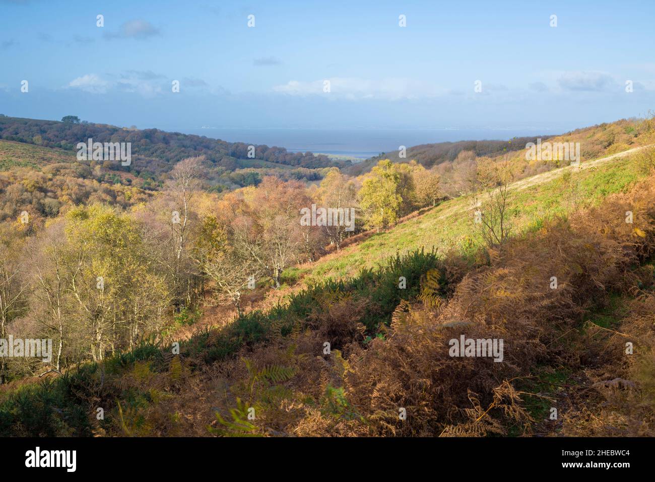Holford hi-res stock photography and images - Alamy