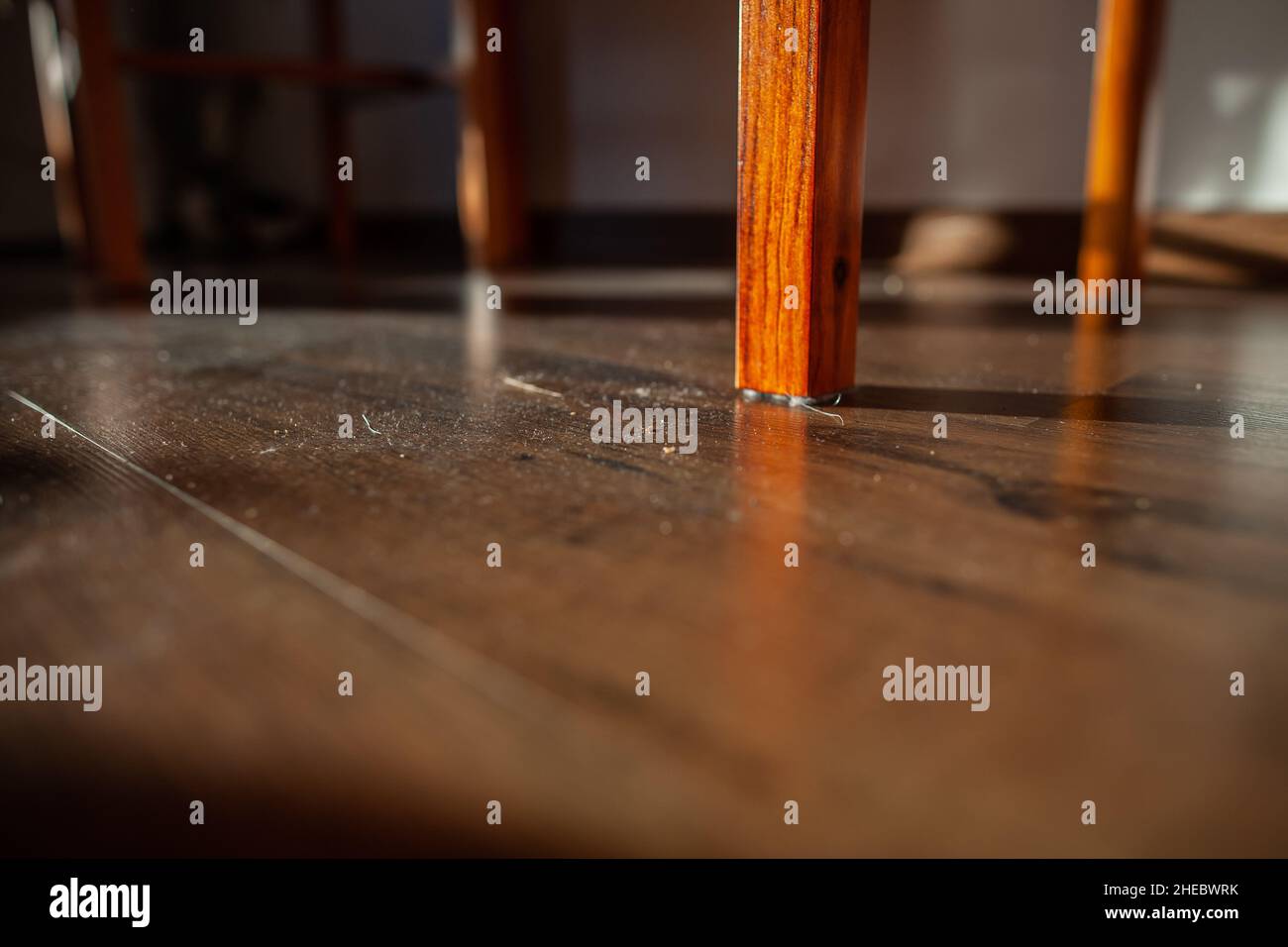 Legs under table hi-res stock photography and images - Alamy