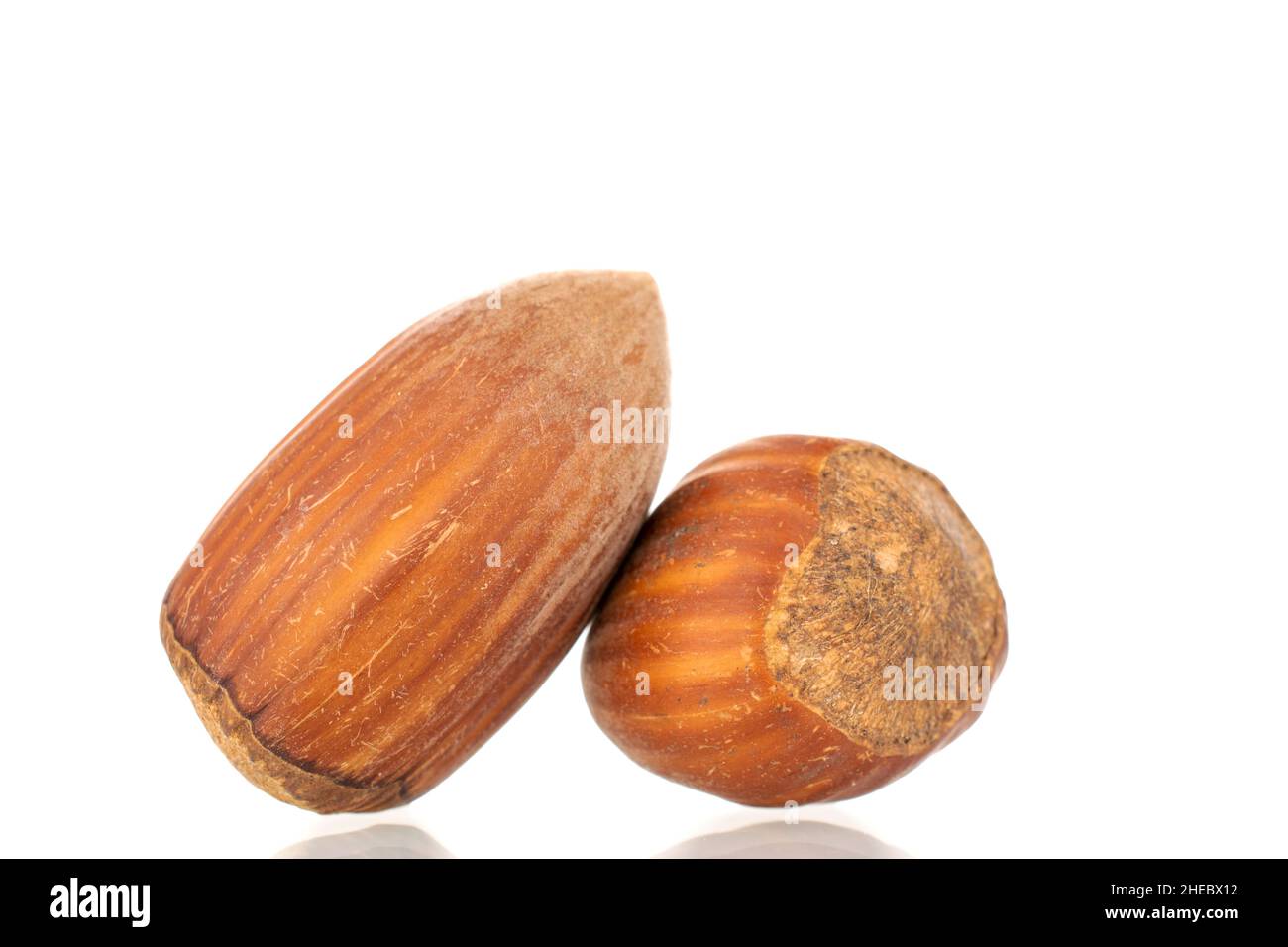 Two unpeeled hazelnuts, close-up, isolated on white Stock Photo - Alamy