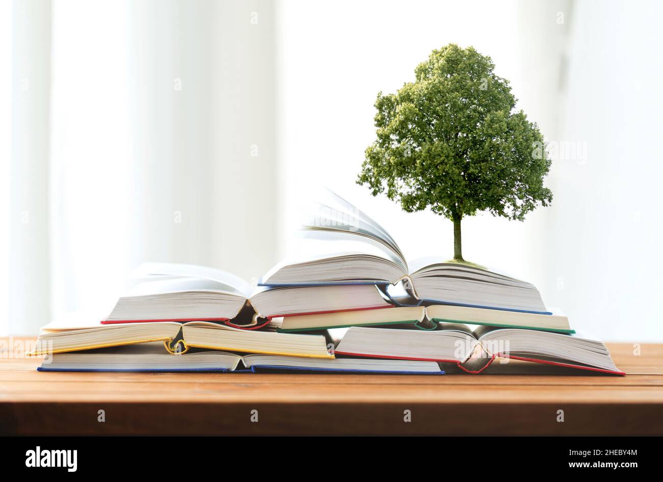 Open book with tree of knowledge hi-res stock photography and images ...