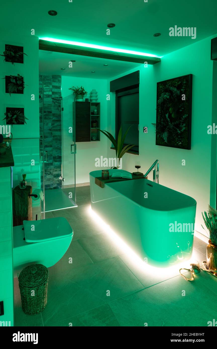 Modern bathroom with freestanding bathtub, modern taps and green LED ...