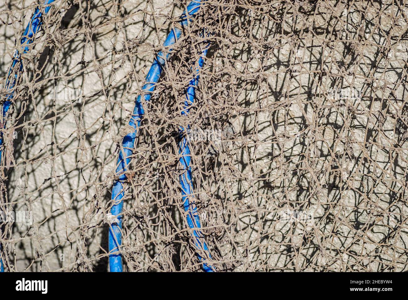 Industrial fish catch hi-res stock photography and images - Alamy