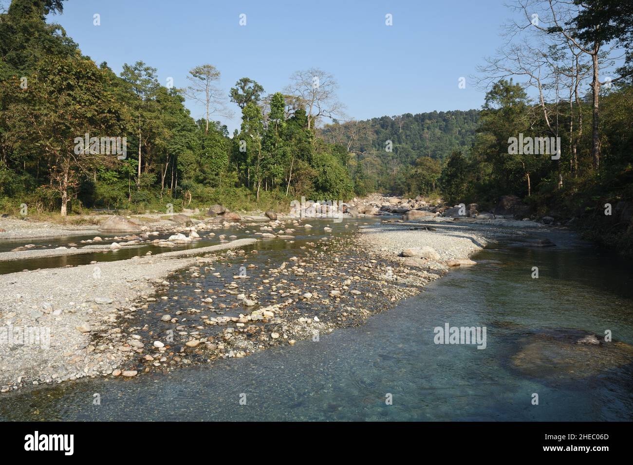 River Neora in Kalimpong district. West Bengal, India Stock Photo - Alamy