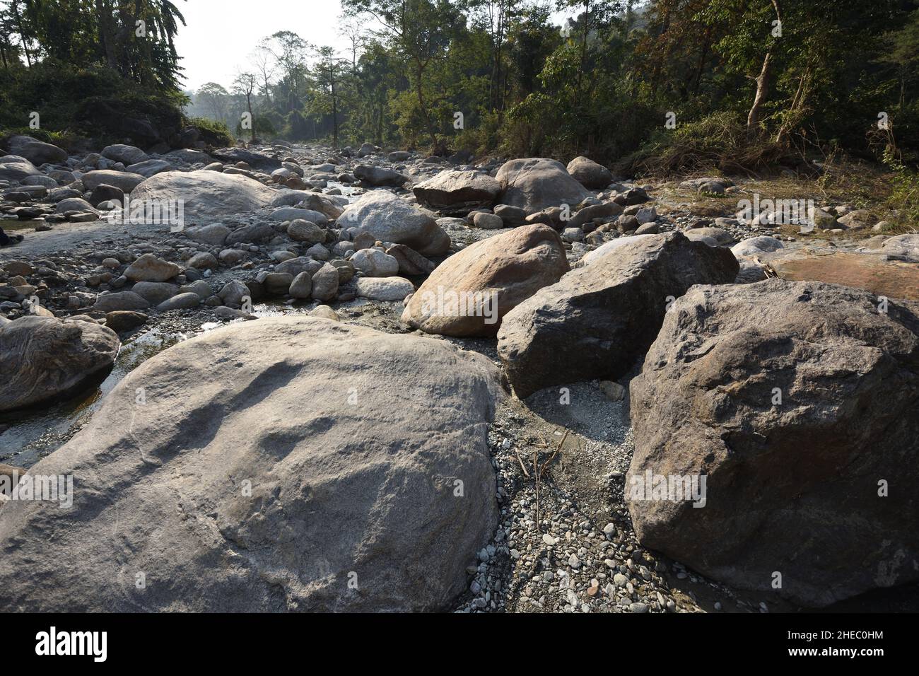 Neora valley national park hi-res stock photography and images - Alamy