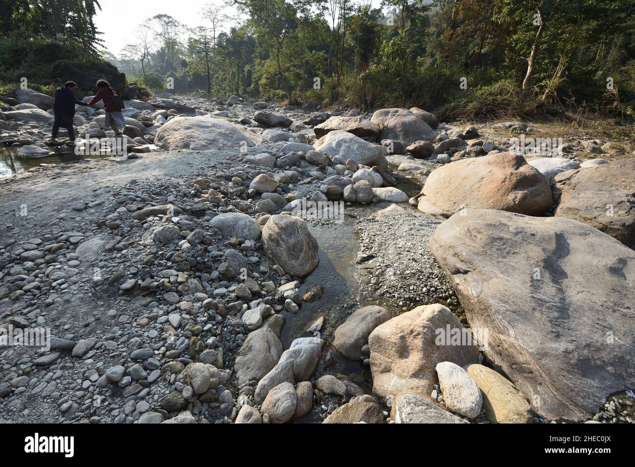 Neora valley national park hi-res stock photography and images - Alamy
