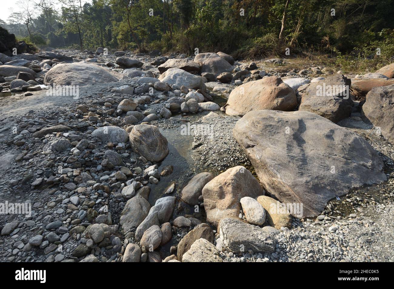 Neora valley national park hi-res stock photography and images - Alamy