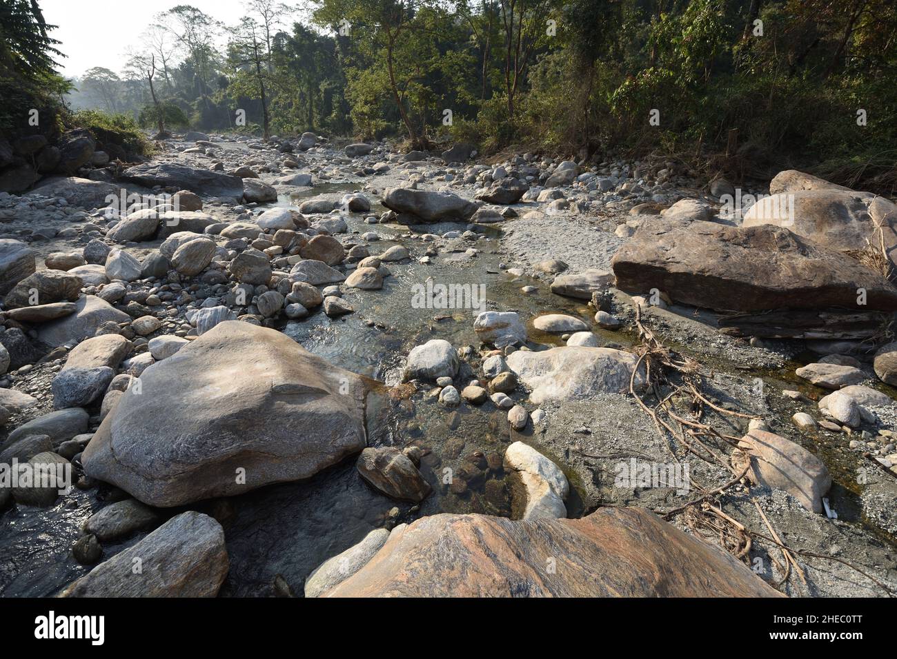 Neora valley national park hi-res stock photography and images - Alamy