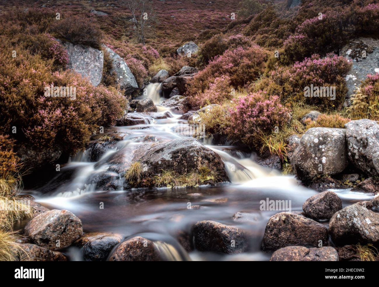 Loch Muick Scotland Stock Photo - Alamy