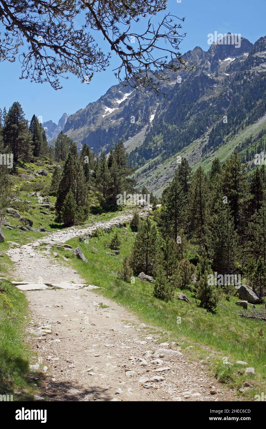 The French Pyrenees: walking the GR10 in the Vallee de Gaube Stock ...