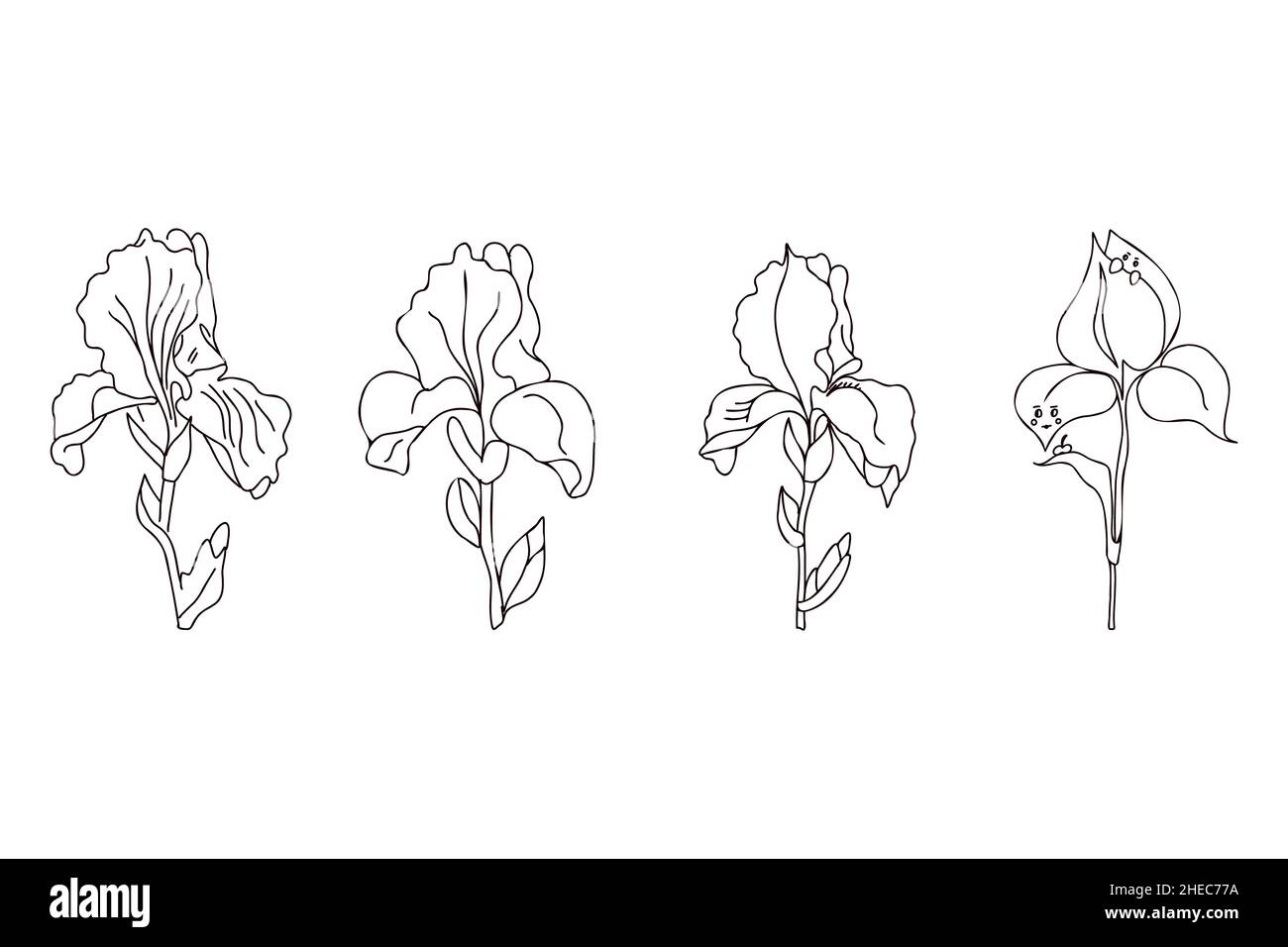 a set of stylized iris flower, origami, vector illustration Stock ...