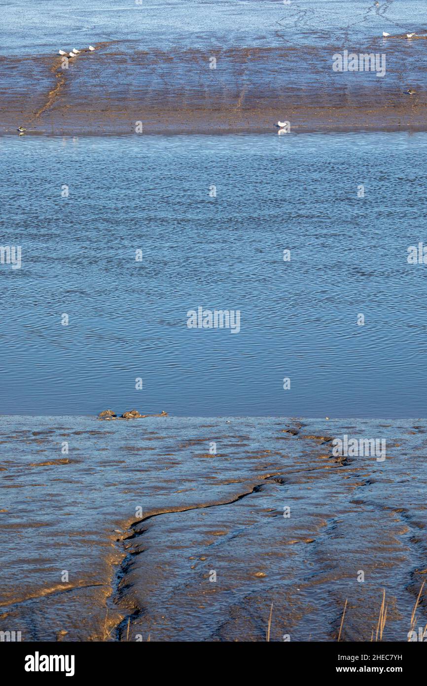 Maldon in Essex Estuary Stock Photo - Alamy