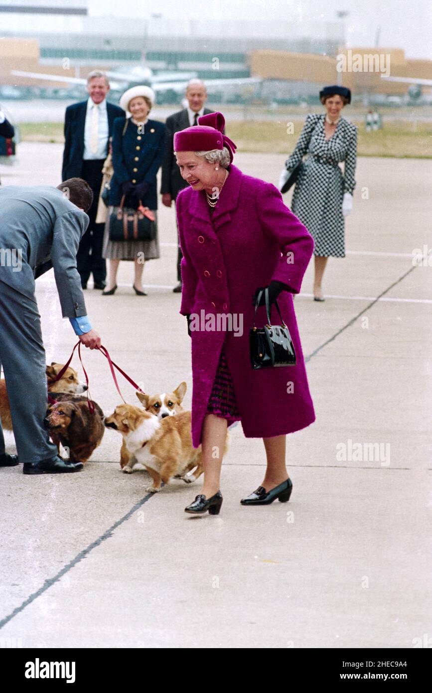 Queen elizabeth corgis airplane hi-res stock photography and images - Alamy