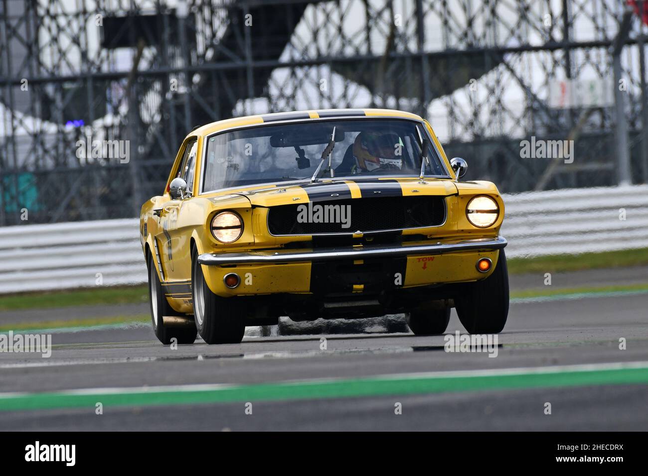 Alex Taylor, Andy Priaulx, Ford Mustang, Touring Car Racing from the ...