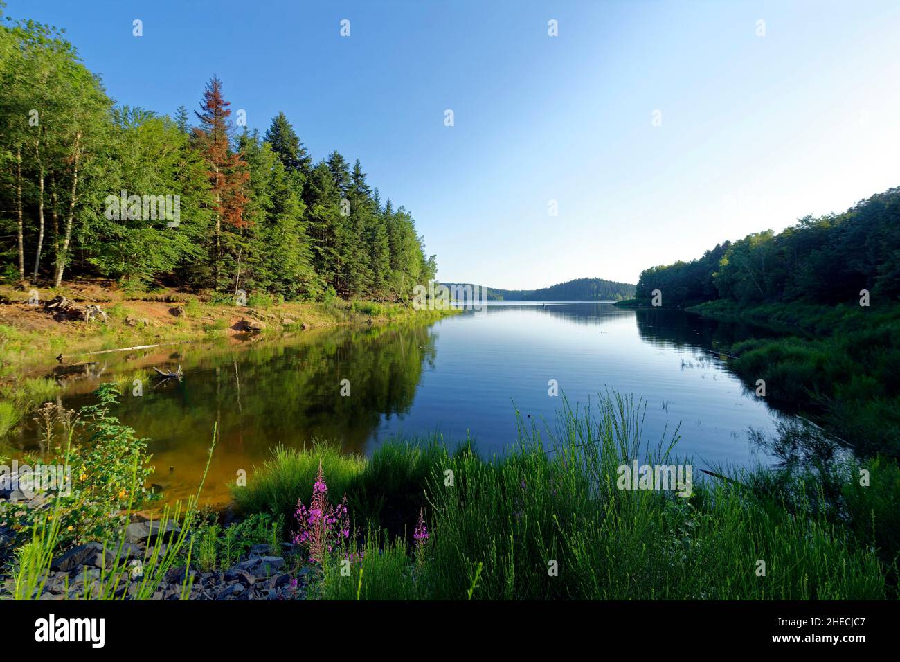 France, Meurthe et Moselle, Pierre Percee, lake of Pierre Percee near ...