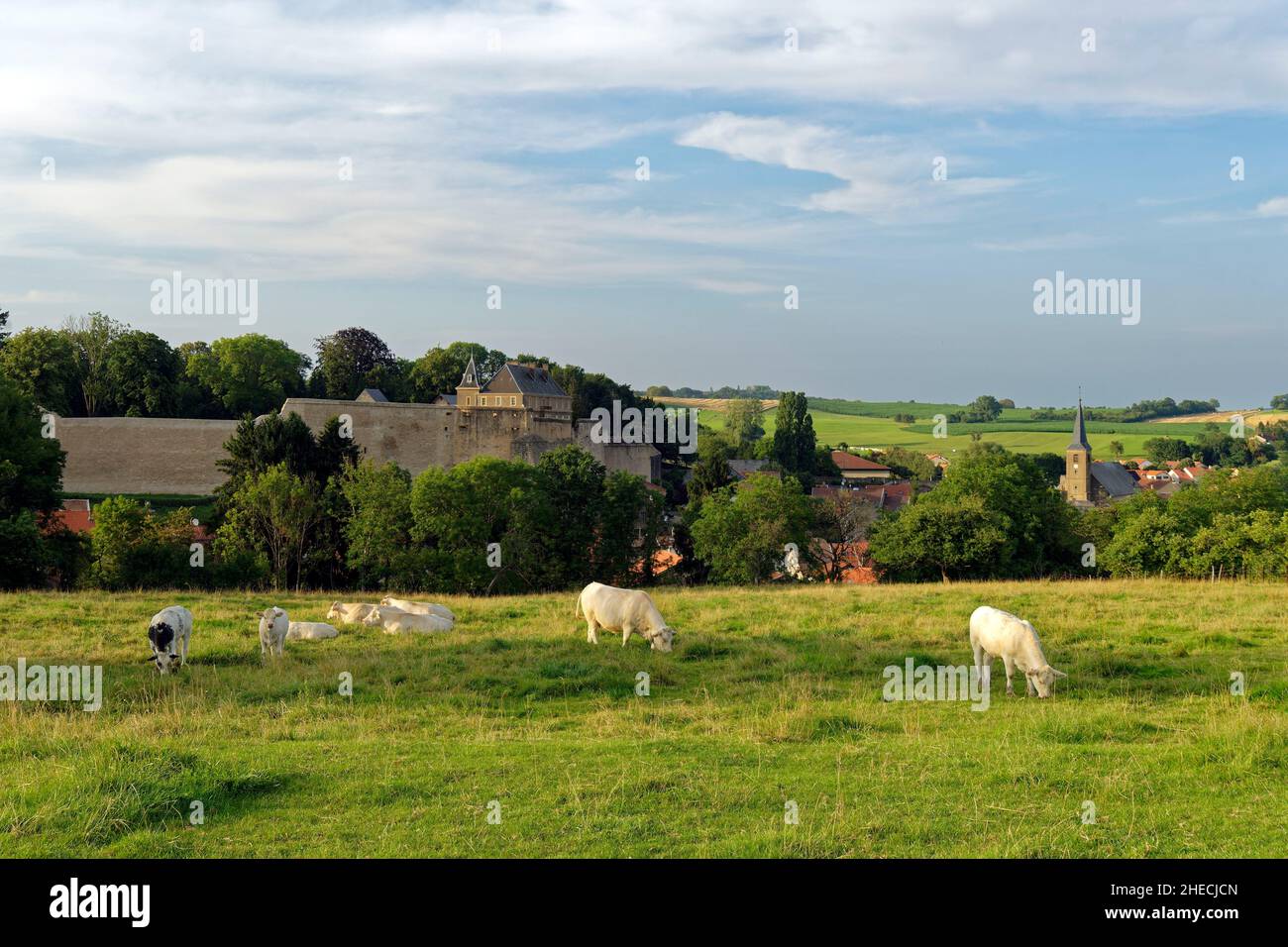 France, Moselle, Rodemack, labelled Les Plus Beaux Villages de France ...