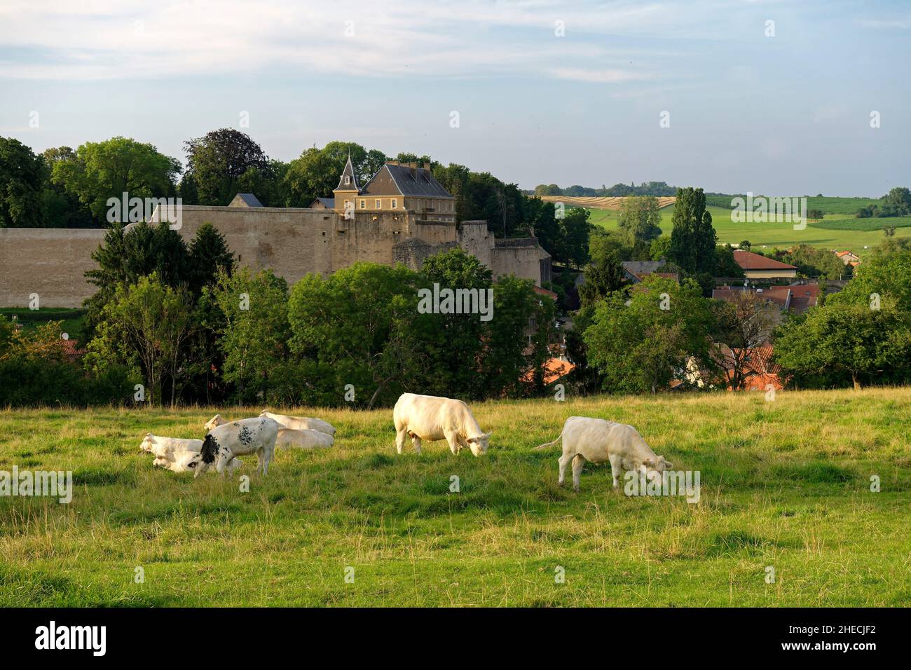 France, Moselle, Rodemack, labelled Les Plus Beaux Villages de France ...