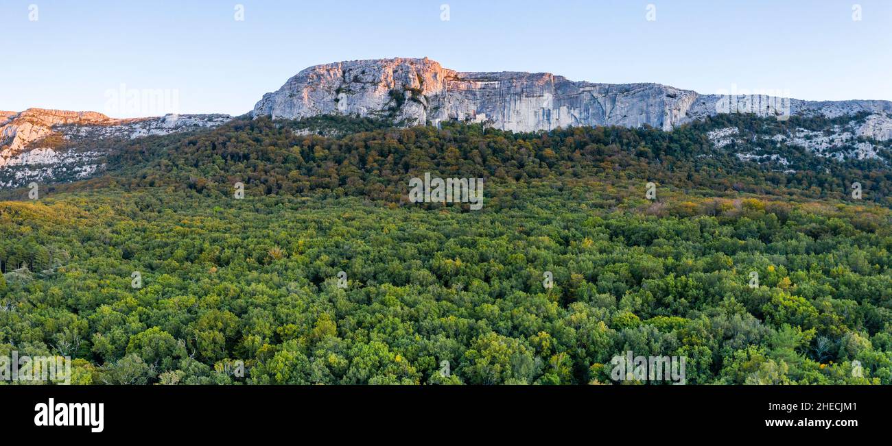 France, Var, Sainte Baume Regional Natural Park, Massif de la Sainte ...